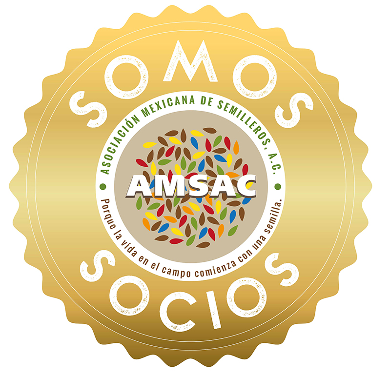 Síntesis Informativa AMSAC Ene-Dic - AMSAC