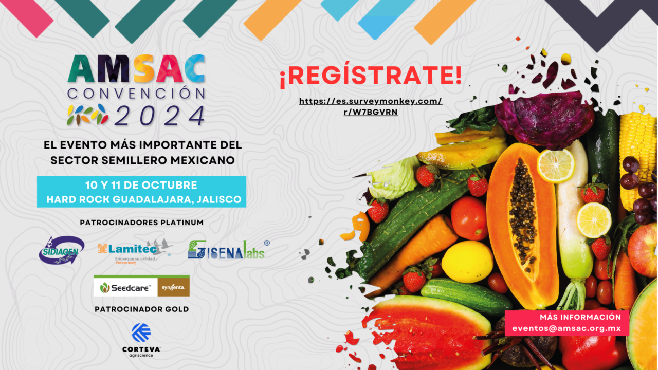 Convención AMSAC 2024 - AMSAC